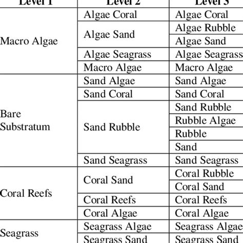 Hierarchical Benthic Habitat Classification Schemes Constructed Based