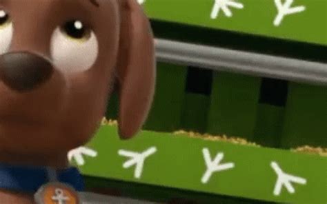 Paw Patrol Paw Patrol Chase GIF Paw Patrol Paw Patrol Chase Chase Discover Share GIFs