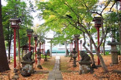 北区四本木稲荷神社の紅葉が素敵でした赤羽マガジン