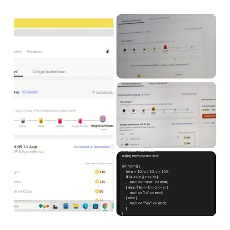 Earned Ninja Dominator Badge On Coding Ninja Indu Simhadri Posted On