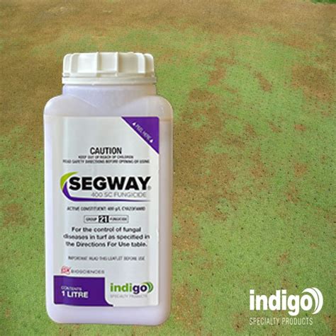 Indigo Specialty Products Pty Ltd On Linkedin Fungicide Pythium Fungal