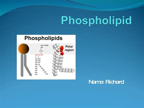 Phospholipids Pptx