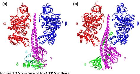 Figure 1 3 From Investigating The Rotary Mechanism Of ATP Synthase Using Molecular Dynamics