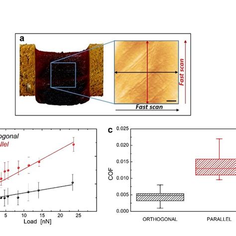 Direction Dependent Friction Response Of Suspended Cvd Graphene A 3d Download Scientific
