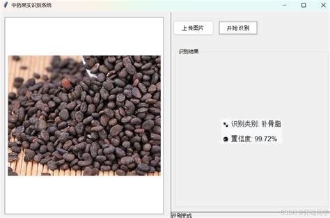 二十种中药果实识别分类系统 python resnet18 pytorch 药材种类识别python csdn博客