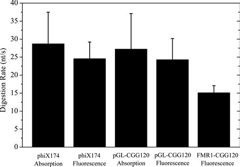 Lambda Exonuclease Digestion Of Cgg Trinucleotide Repeats Abstract Europe Pmc