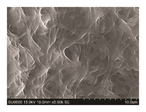 Morphology Of Electrospun Alginate Based Scaffolds A B Show Sem