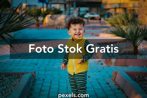 Foto صورخلفياتكيوت Terbaik · Unduh Gratis 100 · Foto Stok Pexels