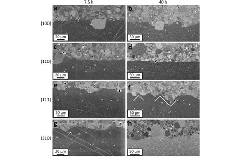 Microstructure Evolution And Morphology Of The Interface Of The Single Download Scientific