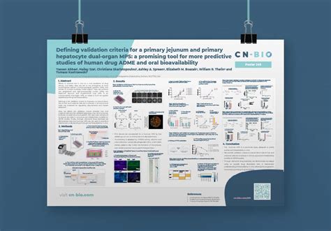 Validation Criteria For Jejunum Hepatocyte Dual Organ Mps
