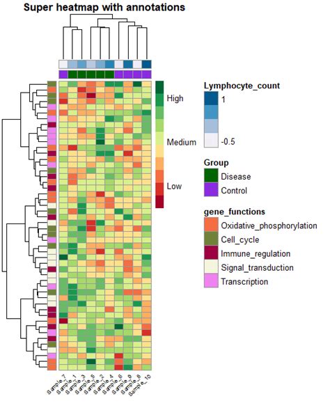 Step By Step Heatmap Tutorial With Pheatmap Biostatsquid