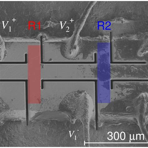 Fig S 4 Scanning Electron Micrograph Of The Microstructure Device Of Download Scientific