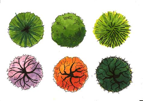 Plan View Tree Brushes Photoshop Honsplus