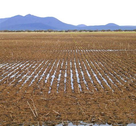 Soil Compaction Explained Soil Quality Knowledge Base