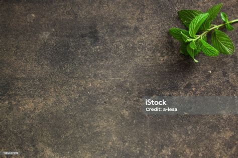 민트 향기로운 녹색 꽃잎 메뉴 개념 음식 배경 복사 공간 맨 위 보기 건강관리와 의술에 대한 스톡 사진 및 기타 이미지 건강관리와 의술 건강한 생활방식 건강한 식생활