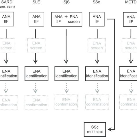Testing Algorithm For Systemic Autoimmune Rheumatic Diseases Notes
