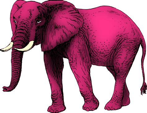 Pink Elephant Openclipart
