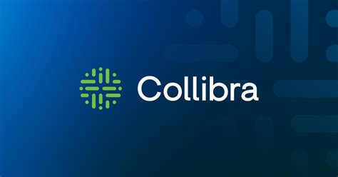 Structure Your Data With Communities And Domains In Collibra Data