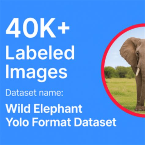 Wild Elephant Yolo Format Dataset Kaggle