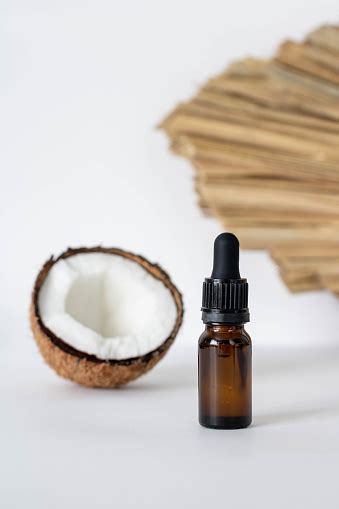 흰색 배경 측면 보기 복사 공간에 신선한 코코넛과 야자 수 잎 화장품 코코넛 오일 흰색 배경에 고립 된 반 코코넛과 신선한