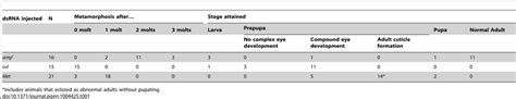 Phenotypic Effects Of Dsrna Injection Into Fifth Instar Larvae