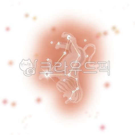별자리 일러스트 Zodiac Constellation Illustration 사진 이미지 일러스트 캘리그라피 구둘기작가