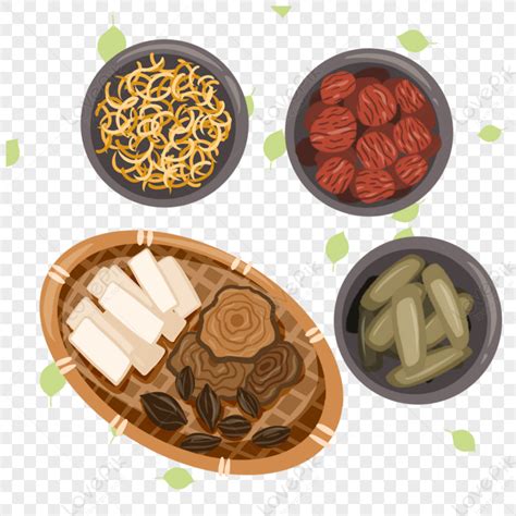 다채로운 한방 약재 요소대추약용 수프식물 Png 일러스트 무료 다운로드 Lovepik