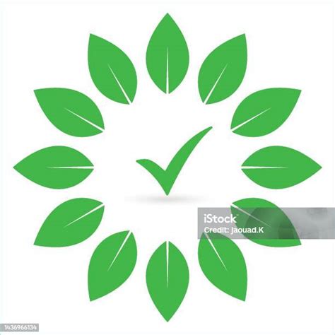 유효한 인감 아이콘입니다 월계수와 진드기가 있는 녹색 원 흰색으로 격리 생태학 친환경 스티커 아이콘 0명에 대한 스톡 벡터 아트 및 기타 이미지 Istock