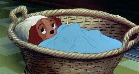 The 10 Laziest Types Of Sex