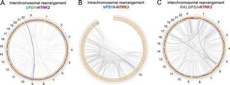 Circos Plots Displaying The Ntrk Gene Fusions Among Numerous Structural Download Scientific