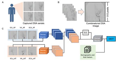 Methodological Process Of Dsa Features Extraction A B And The