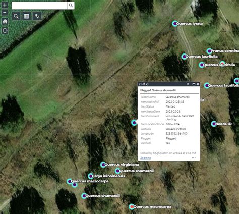 Tree Flagging Houston Botanic Garden