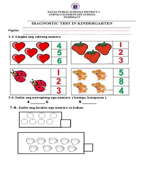 Diagnostic Test In Numeracy Pdf