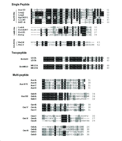Primary Structures Of Leaderless Bacteriocins Leaderless Download Scientific Diagram