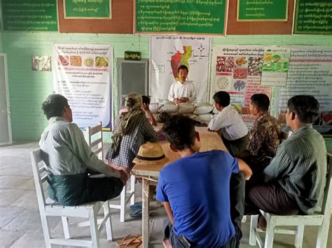 ငါ့သရောက်မြို့ စိုက်ပျိုးရေးဦးစီးဌာနတွင် သစ်စိမ်းမြေသြဇာ ပိုက်ဆံလျှော် မျိုး စေ့ ပေးအပ်ပွဲကျင