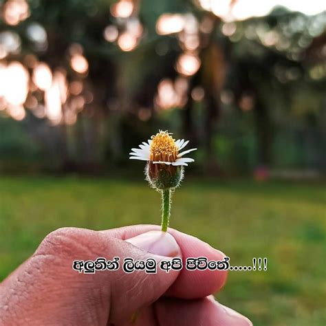 මම හරි ආදරෙයි ඔයාට 🥺🤍 By A S U Facebook