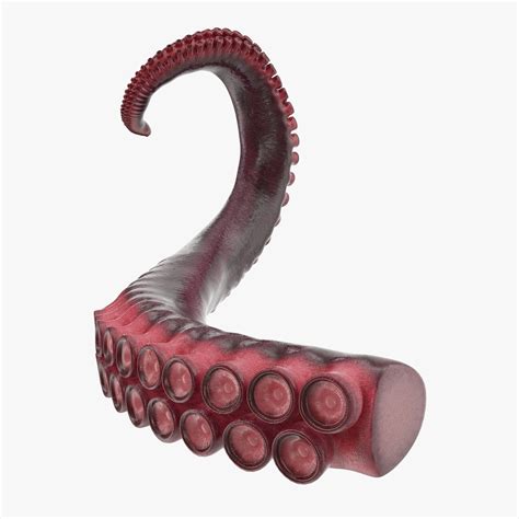 Tentacle 3d Models Download Free3d