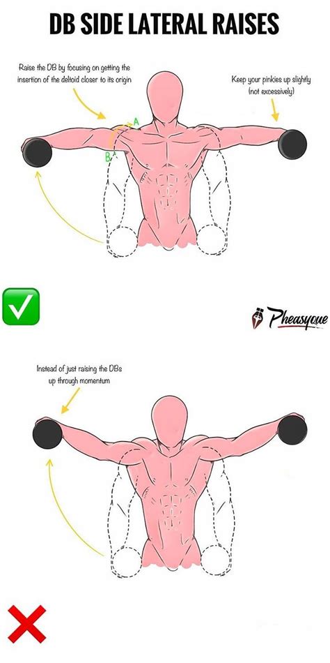 Dumbbell Side Lateral Raise