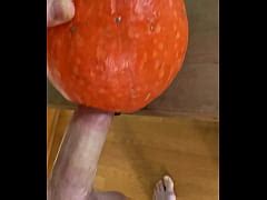 Pumpkin Fucker Xxx Mobile Porno Videos Movies Iporntv Net