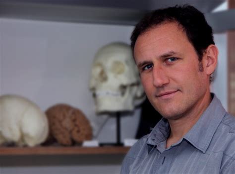 Emiliano Bruner Aporta Nuevos Datos Sobre La Evolución Del Cerebro Humano