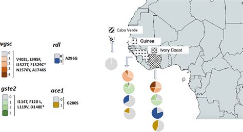 Number Of Insecticide Resistance Mutations Detected In Anopheles Download Scientific Diagram