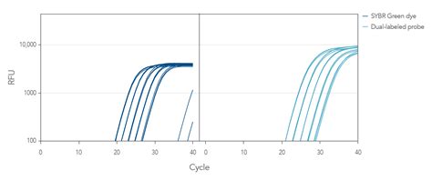 Primetime Qpcr Primer Assays Idt