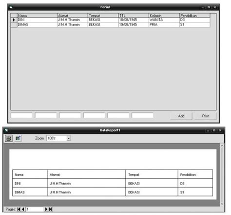 Resolved Datareport Vb 60 Vbforums