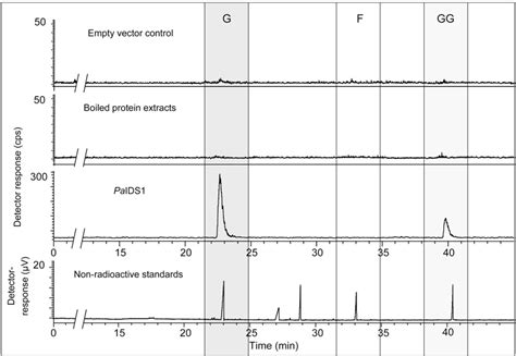 Figure 4 From A Bifunctional Geranyl And Geranylgeranyl Diphosphate Synthase Is Involved In