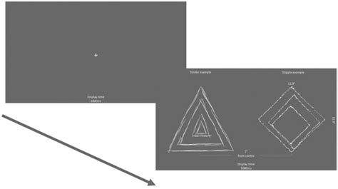 Schematic Trial Example Download Scientific Diagram