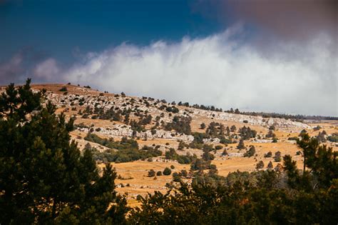 안개 에 아이 페트리 산 높은 산 크리미아 러시아어 산입니다 낮은 구름 아름다운 산의 풍경 크림 반도에서 가장 높은 지점 중 하나인 구름 안개로 부분적으로 덮인 유명한 Ai