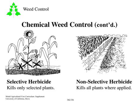 Ppt Mechanical Weed Control Powerpoint Presentation Free Download Id