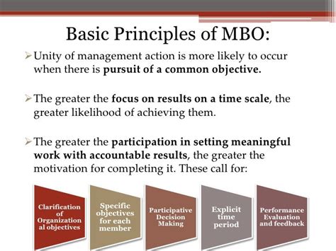 Mbo And Mbe