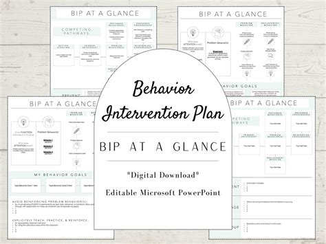 Behavior Intervention Plan Bip At A Glance Digital Download Editable Aba Therapy School