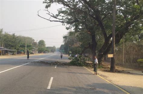 ဇေယျာသီရိမြို့နယ်၊ ခေတ်အေးကျေးရွာအုပ်စုရှိ ရန်ကုန် မန္တလေးလမ်းဟောင်း လမ်းဘေးဝဲယာရှိ ကုက္ကိုပင